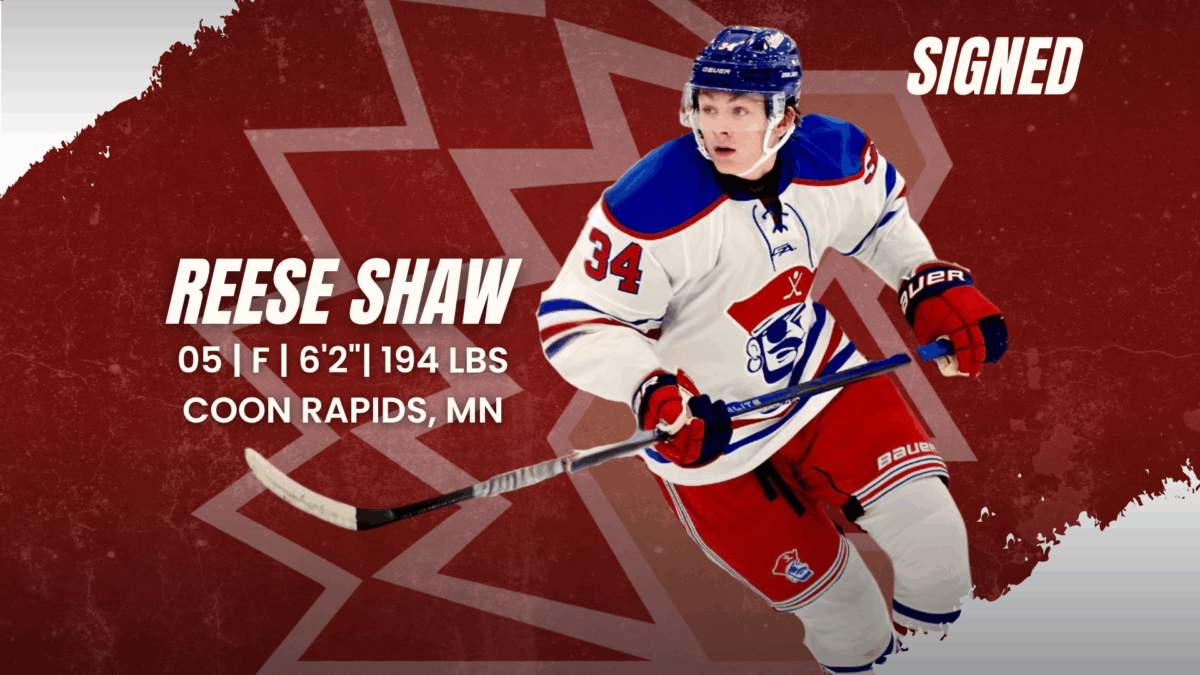 Chiefs Sign Reese Shaw | Chilliwack Chiefs